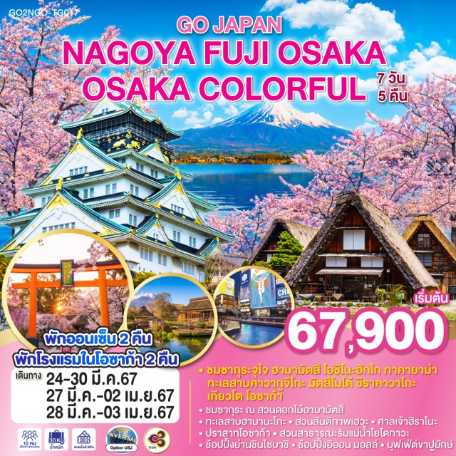 ทัวร์ญี่ปุ่น QQGO2NGO-TG017 : Nagoya fuji osaka colorful sakura BY TG ...