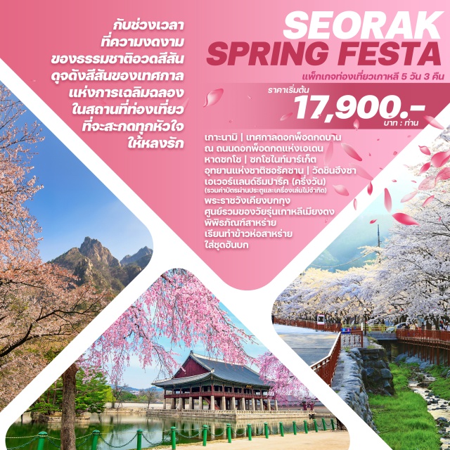 ทัวร์เกาหลี SSF2024 : Seorak Spring Festa BY 7C/BX | | UNITHAI Trip
